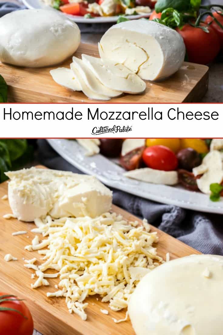 Homemade Mozzarella Cheese Recipe | Cultured Palate