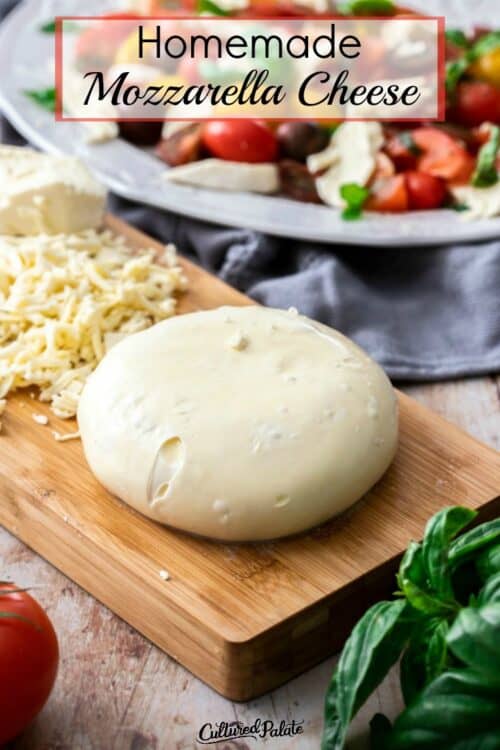 Homemade Mozzarella Cheese Recipe | Cultured Palate