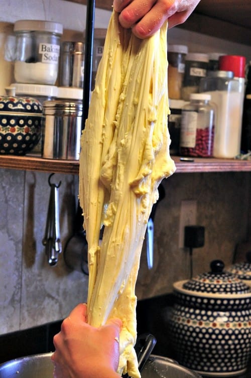 Homemade Mozzarella Cheese Recipe | Cultured Palate