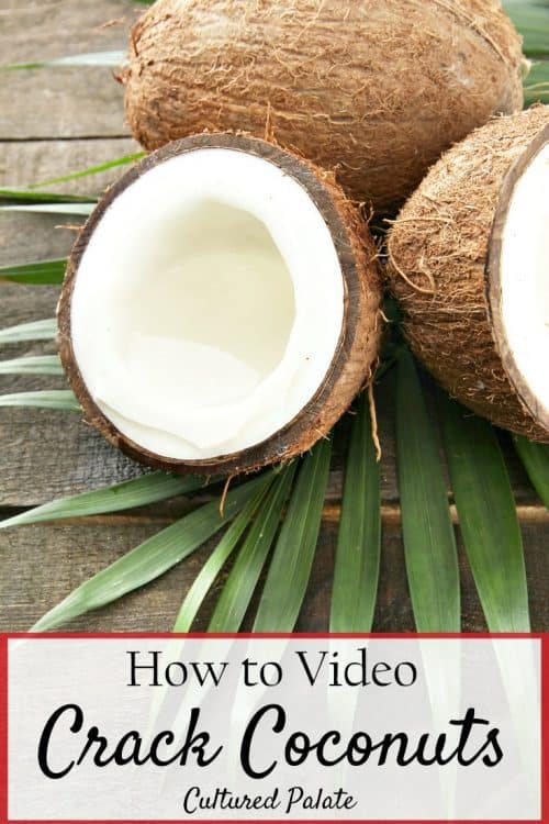 How to Crack Coconuts Video Tutorial | Cultured Palate